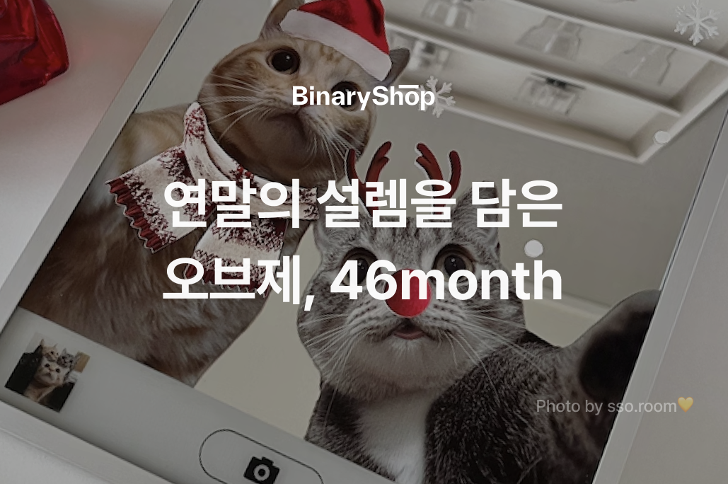 Binaryshop #46month | 오늘의집 쇼핑